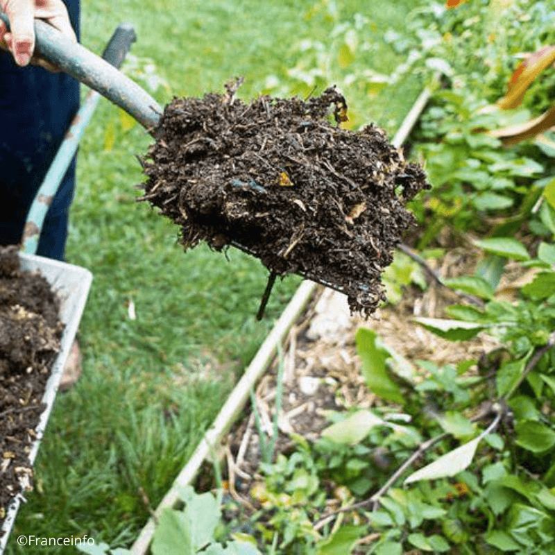 Tout savoir sur le compost au jardin
