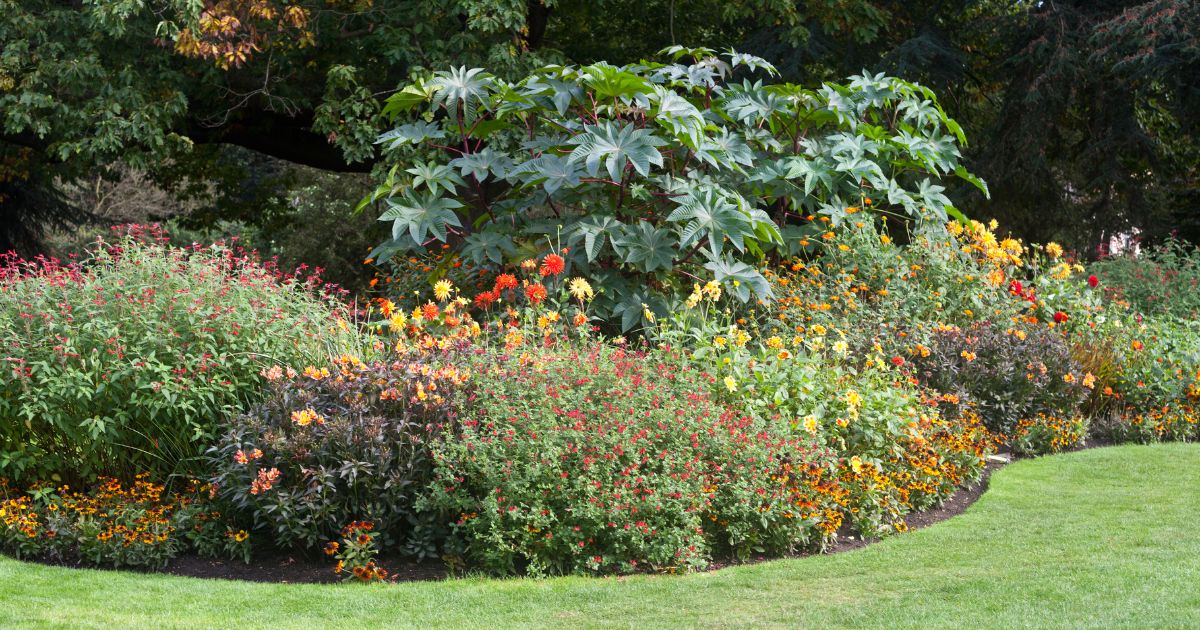 Réussir le parfait massif fleuri dans votre jardin