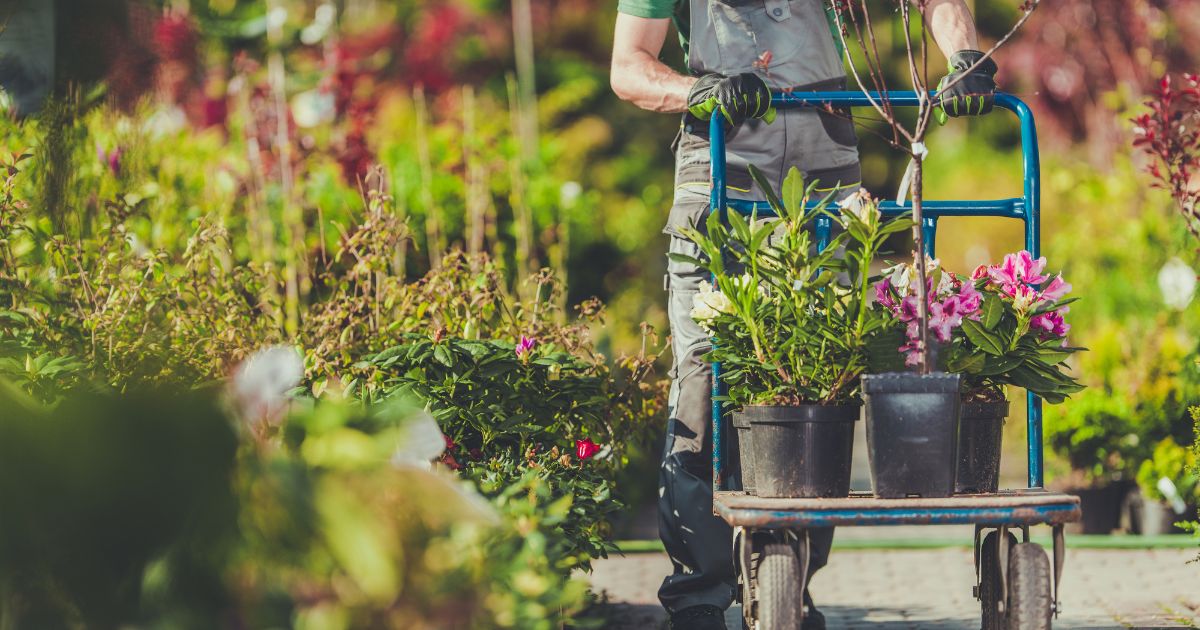 Comment réussir son projet de jardin en quelques étapes