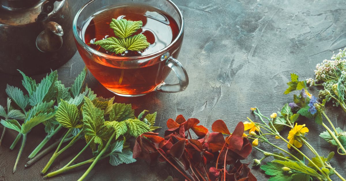 Découvrez les bienfaits des infusions | Draw Me A Garden